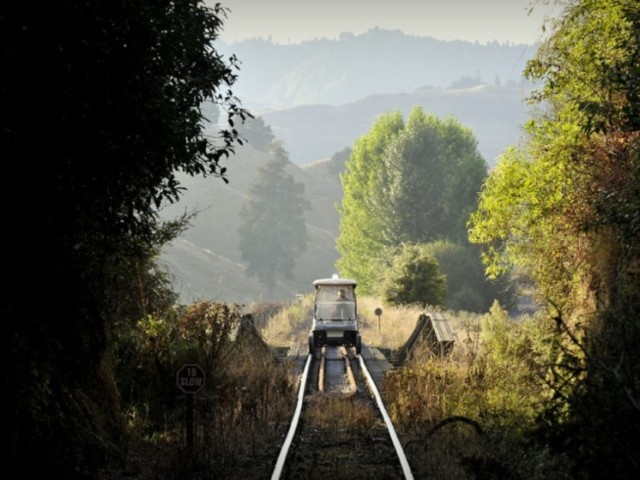 Forgotten World Adventures - Experience Wild Taranaki » Wild Taranaki